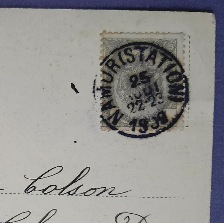 Postcard Hen & Chick,Humour,Train.Postmark Namur (Station) Belgium 1902 ...