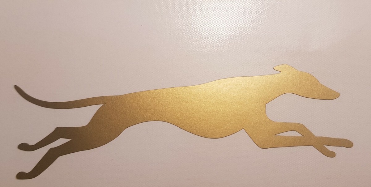 Large Greyhound Decals LARGE SIGHTHOUND STICKER Running Greyhound