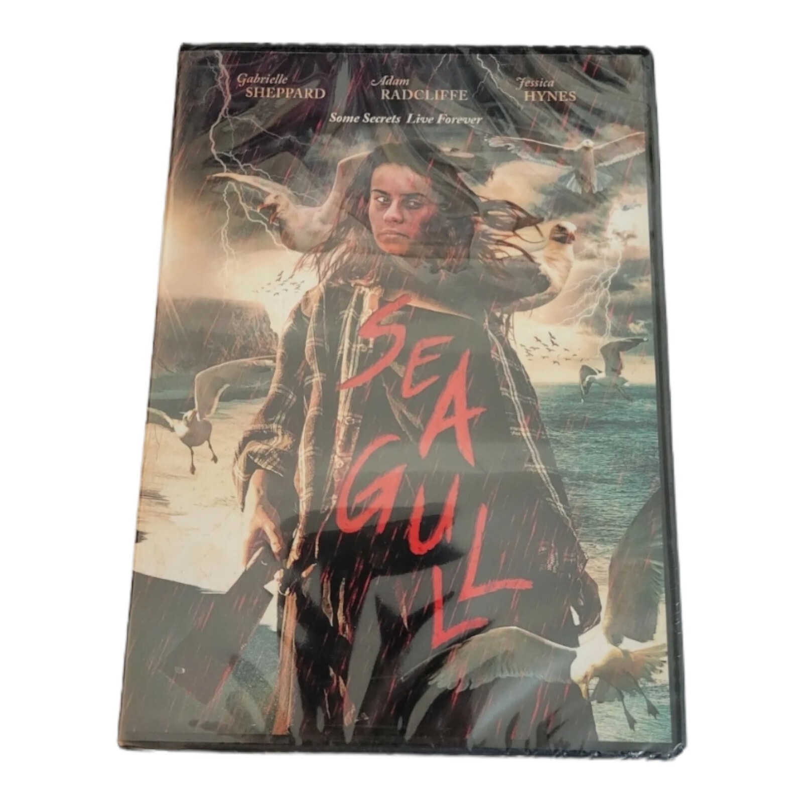 Seagull Dvd With Gabrielle Sheppard, Adam Radcliffe, Jessica Hynes NEW ...