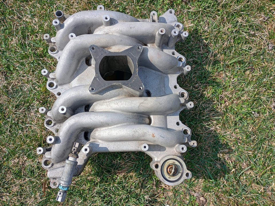 1999-2004 Ford Mustang 4.6L Professional Products Intake Manifold 2V GT ...
