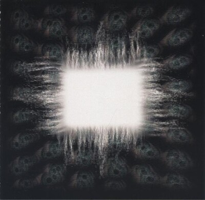 Tool - Aenima CD - SEALED NEW - 3D Multi Image Lenticular Cover w/ Hype ...