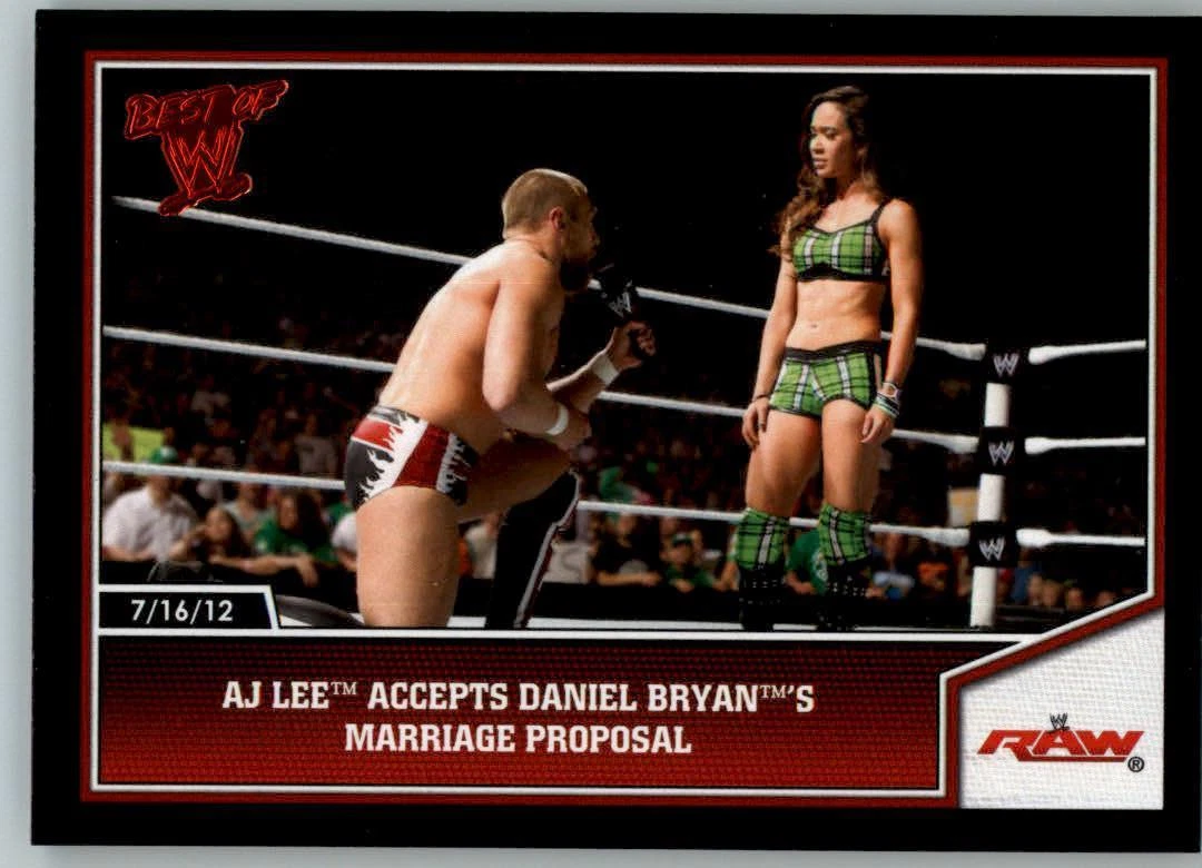 Aj Lee And Daniel Bryan Propose