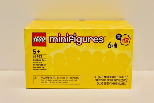 LEGO MINIFIGURES: Lego Minifigures Series 25 (66763) New box of six ...