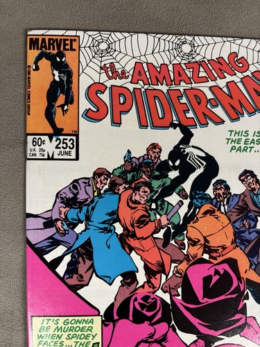 AMAZING SPIDER-MAN #253 Lot of 1 Marvel Comic Book - 1st Rose - High ...