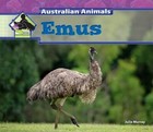 Emus (Big Buddy Books: Australian Animals (Library)) - Library Binding ...