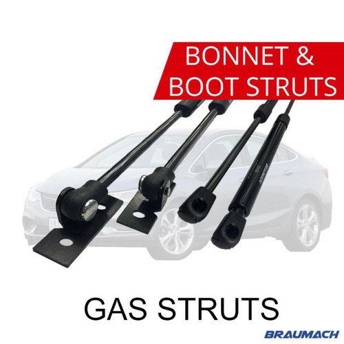 Gas Struts Bonnet Boot for Commodore VT VX VU VY VZ (WITH SPOILER) | eBay