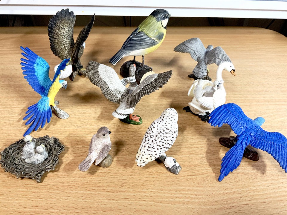 Schleich Birds Bald Eagle Peregrine Falcon Swan Goose Brooklyn Chicks ...