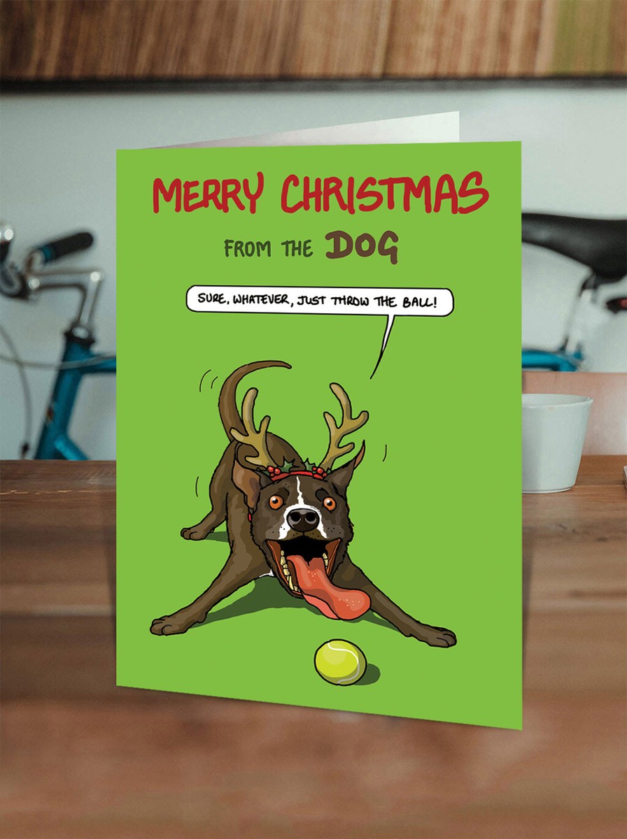 Funny Christmas Animals With Captions Hilarious Pet Memes Reveal What