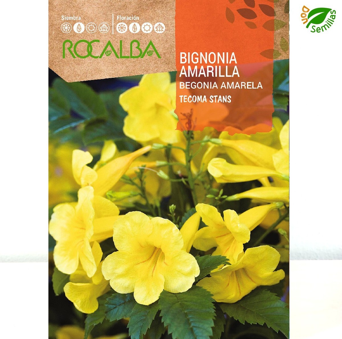 Flor De Petunia Amarela Turnera Subulata By RoderickSink On DeviantArt