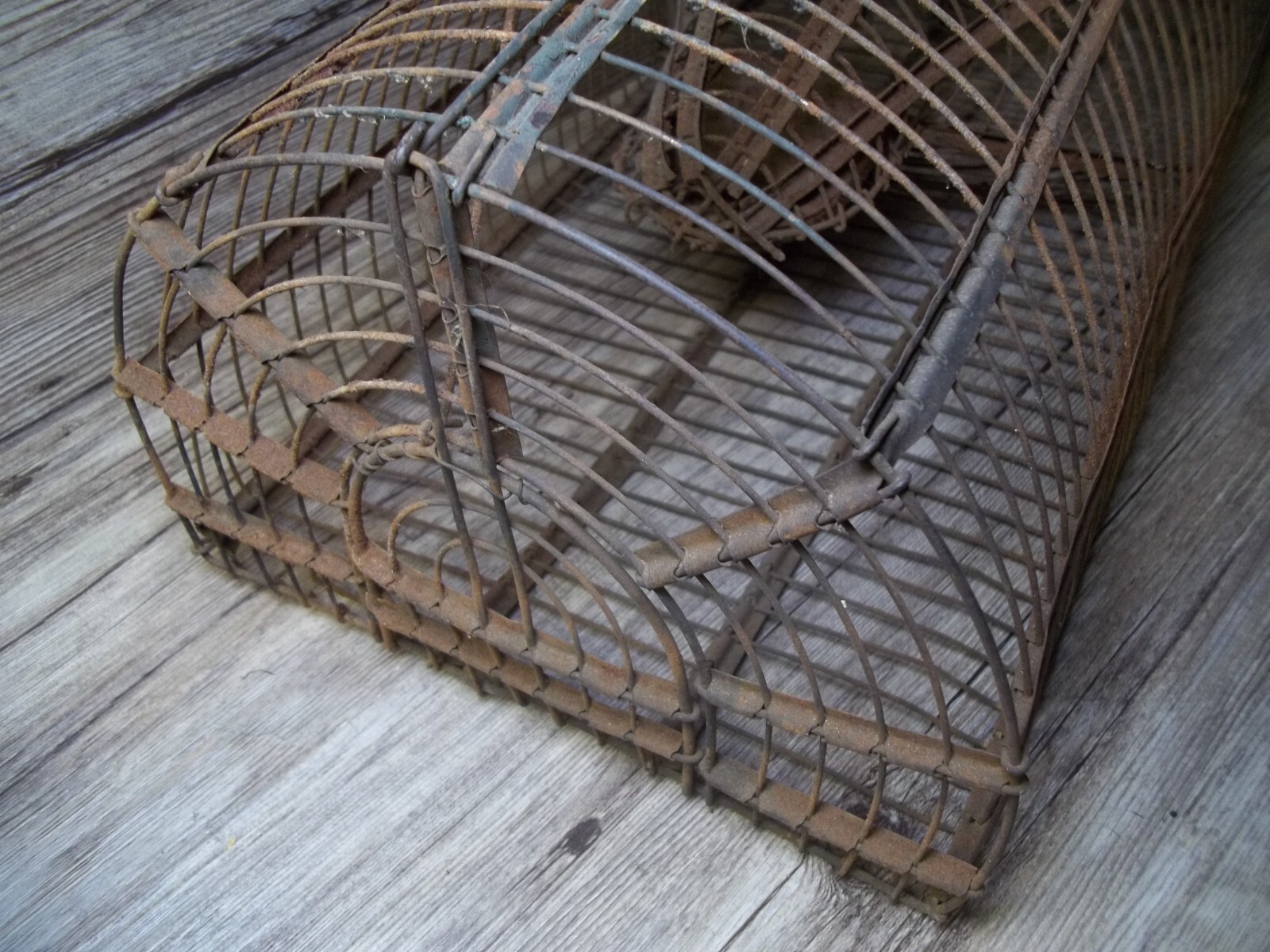 antique Rat trap made of wire frame and very good condition | eBay