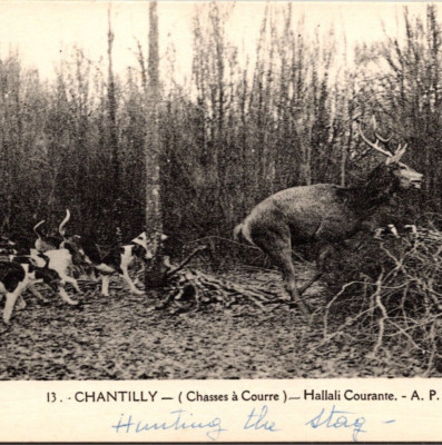 Chantilly Hunting the Stag French Chasses a Courre Vintage Postcard ...