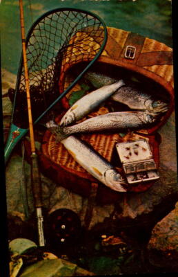 Postcard Greetings from Main The Pine Tree State Vacationland Trout ...