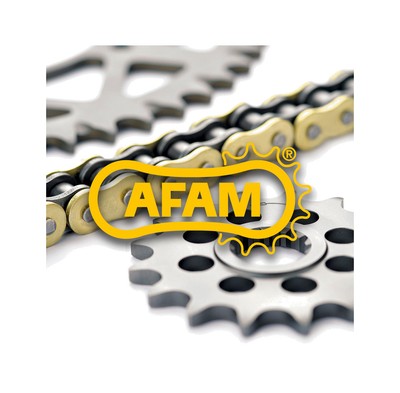 AFAM Chain kit with standard crown A420M 11/51 - TIPO 38101 | eBay UK