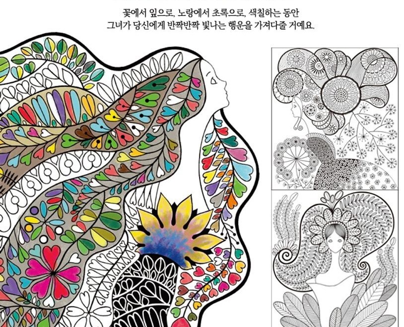 Fairy of Shampoo Beautiful Fairies Coloring Book Korea Paint Art ...