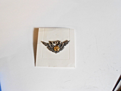 USN US NAVY COMBAT AIR CREW WINGS LAPEL HAT PIN BADGE (B7) | eBay