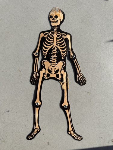 Vintage Beistle Halloween Die Cut Jointed Skeleton~32” Wall Decoration ...