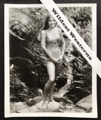 ADAM 12 SHERRY MILES signed photo vintage original Cult autograph VELVET VAMPIRE | eBay