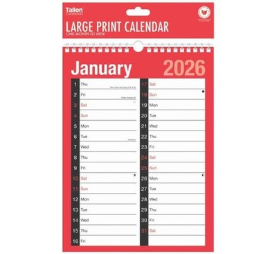 2026 A4 CALENDAR - MONTH TO VIEW - LARGE PRINT - SPIRAL BOUND | eBay UK