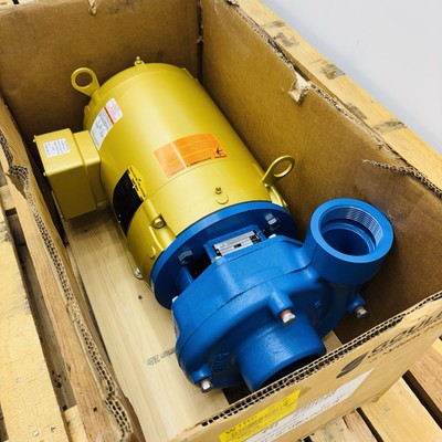 Goulds Water Technology 3656 2.5x3-7 Centrifugal Pump 6” Imp. Dia. 10HP ...