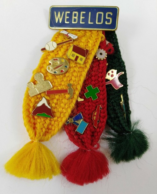 19 Pins - BSA Cub Scout WEBELOS COLORS Tri-Color Ribbon Merit Badge LOT ...