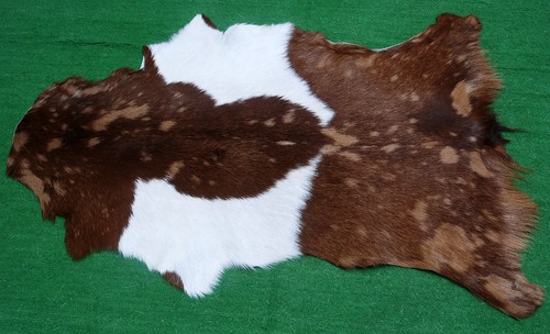 GOAT Western taxidermy Hide Rug Natural Pattern Fur Goat Hide Rode SA ...