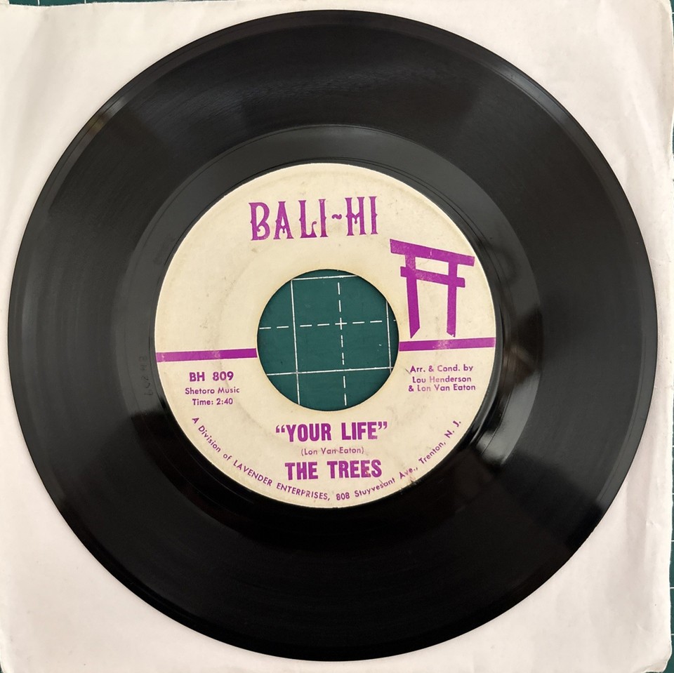 The Trees Don’t Miss The Turn 45 Rare 60s New Jersey Psych Rock With ...