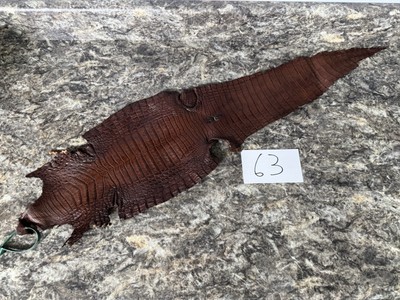 Brown Genuine Caiman Crocodile Hide Leather Skin real alligator Croc ...