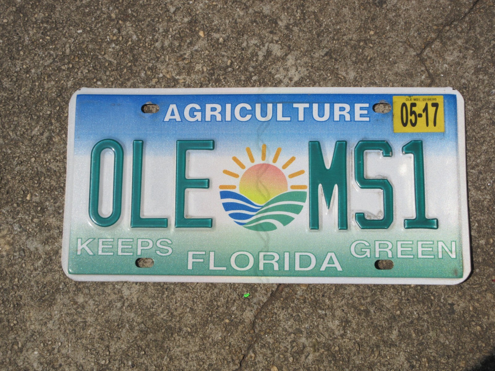 Florida Agriculture License Plate OLD MS1 OL MISS Mississippi State ...