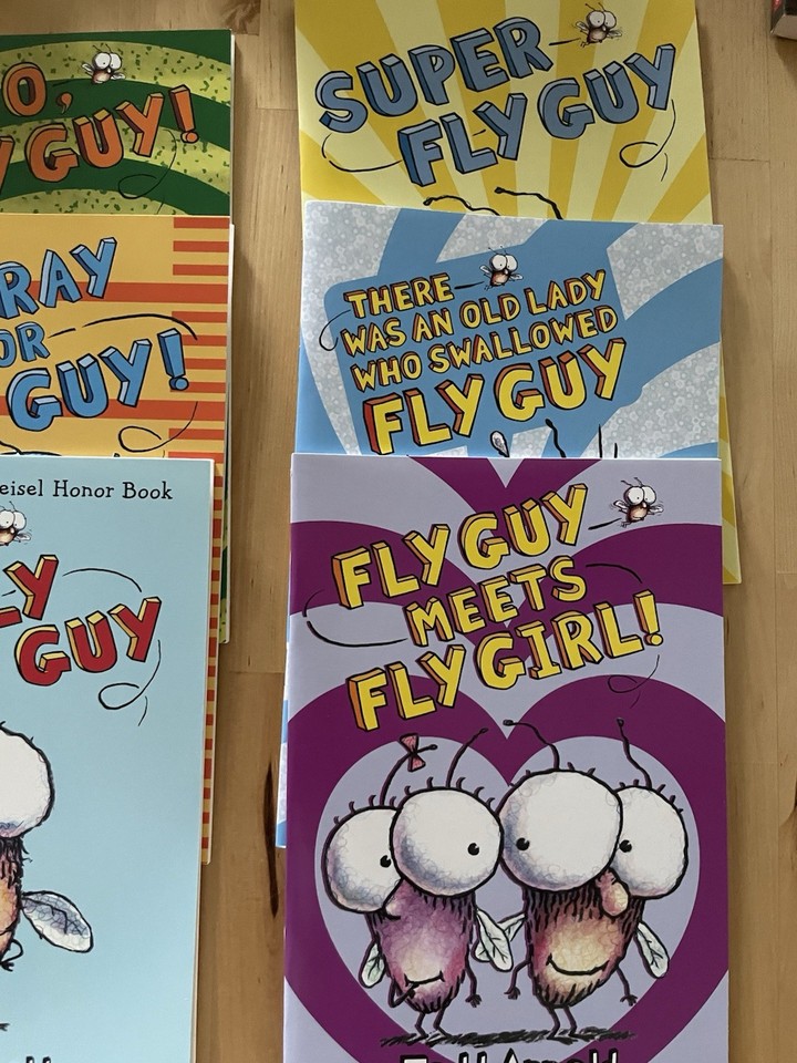 Children’s Lot Of 12 Fly Guy Books- 2 Copies Each , 6 Different Titles ...
