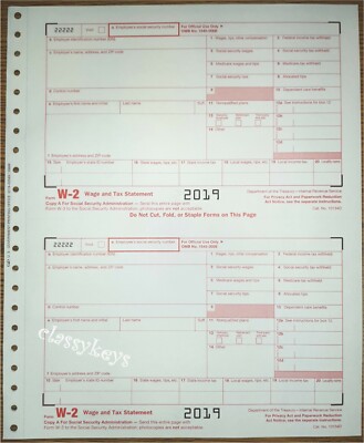 2019 IRS Tax Form W-2 Wage Stmts CARBONLESS single sheet for 2 ...