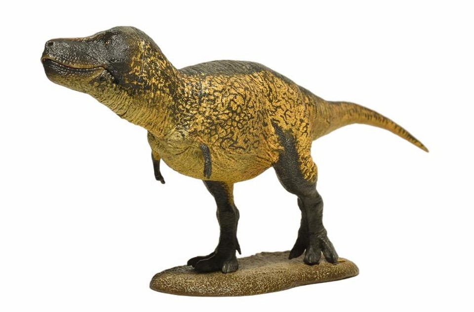 Tyrannosaurus "Sue" Dinosaur Prehistoric T-rex Mesozoic Model Eofauna ...