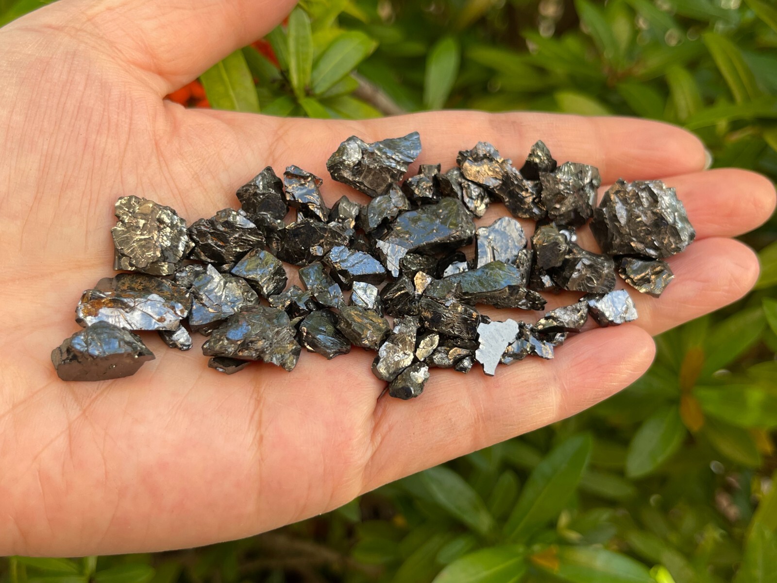 Grade A++ Small Elite Noble Shungite Stone, 0.2-1" Raw Shungite, Bulk ...