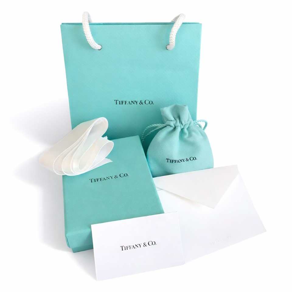 Tiffany & Co NEW Empty Blue Box Suede Pouch Gift Bag Polishing Cloth ...