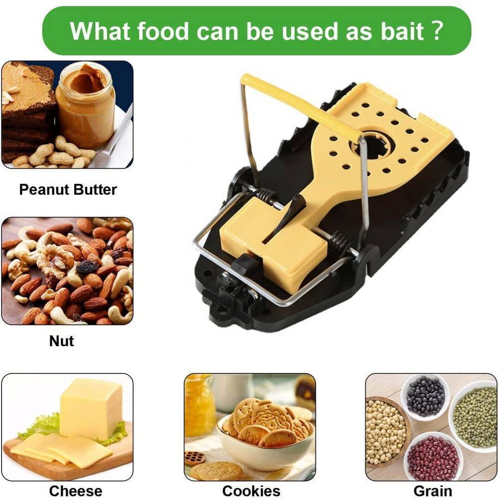 6 x Traps Intruder Reusable Mousetrap Very Easy Set Spring Mouse Trap ...