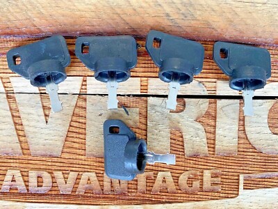 5 ignition keys fits Ariens Gravely 03290500, 04986400, 03927000 | eBay