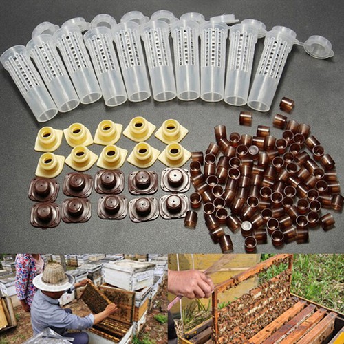 Complete queen rearing cup kit system bee beekeeping catcher box 100 ...