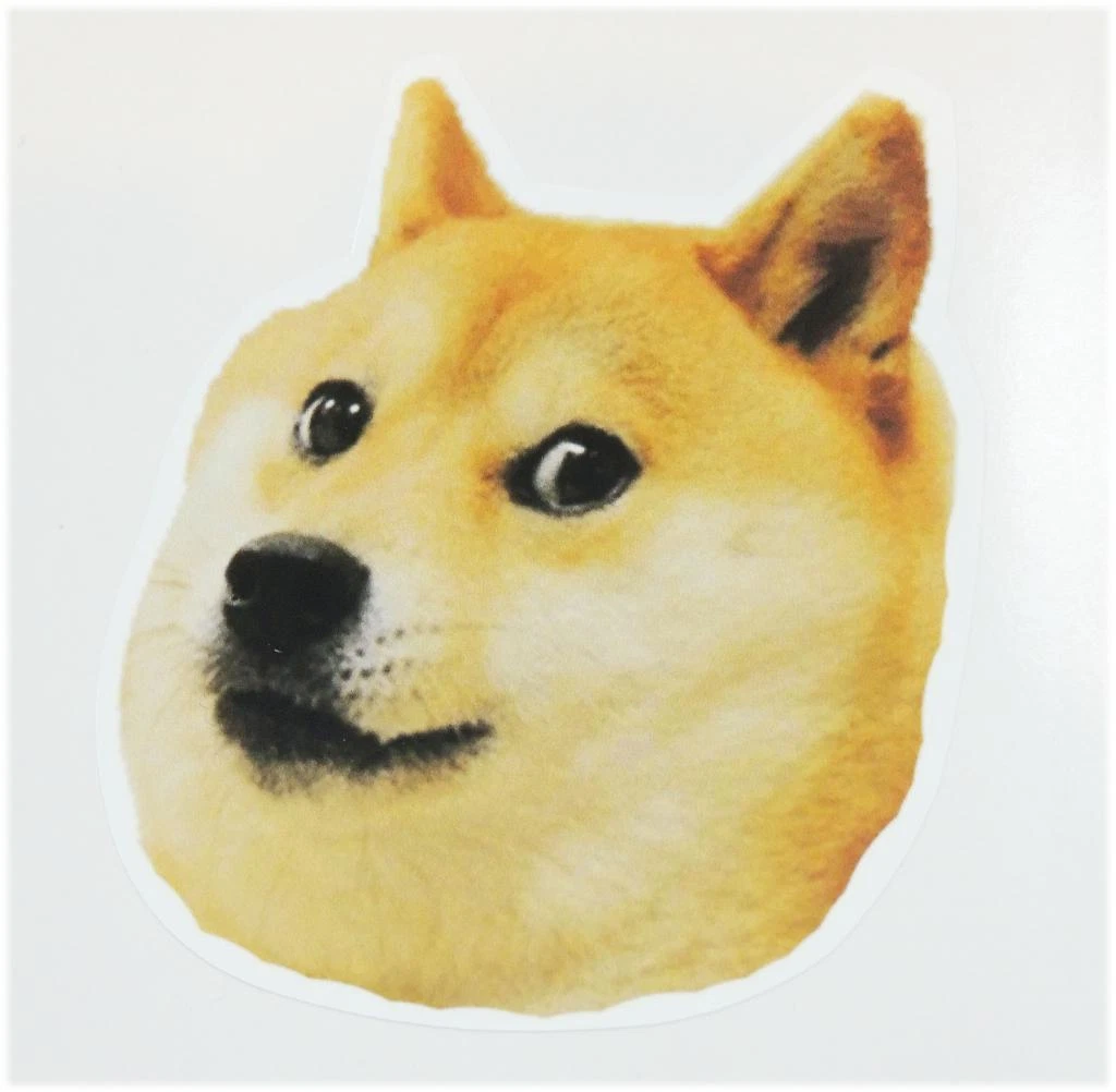 Such Wow Doge