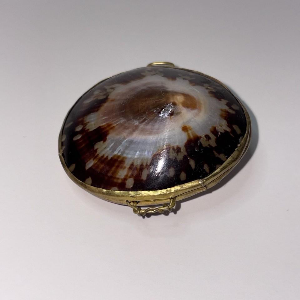 Vintage Sea Shell Trinket Pill Box Hinged Polished Limpet Shell 2”x2”x1 ...