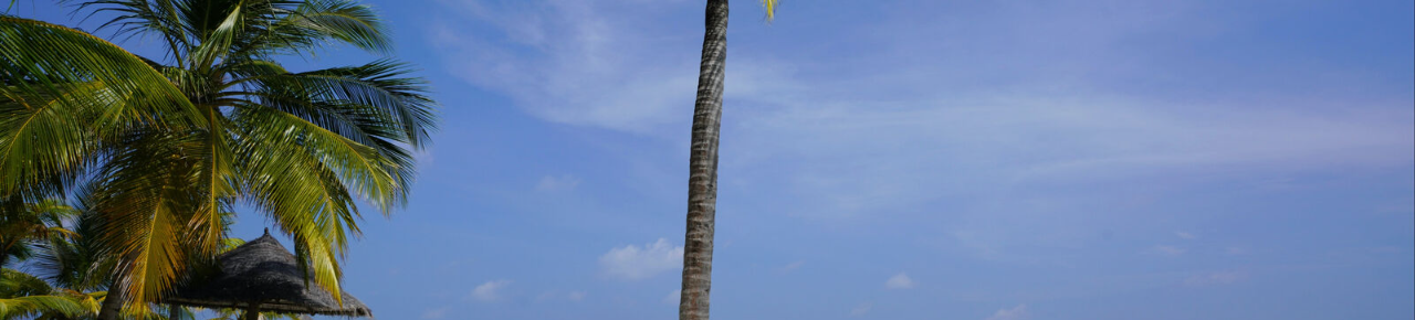 Comato Jo's | eBay Stores