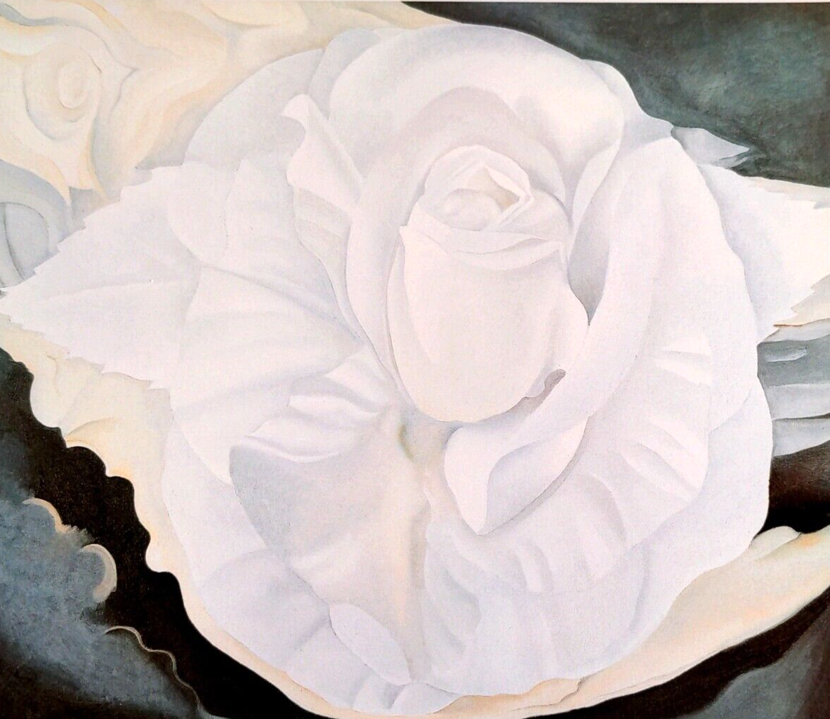 Georgia O Keeffe Flower Paintings Rose | Best Flower Site