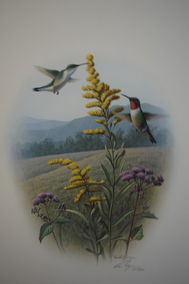 Louque, Ron "Ruby Throated Hummingbird" | eBay