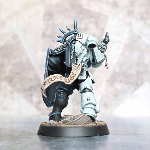 Primaris Space Marines Stormcast Eternals conversion - Pro Painted ...
