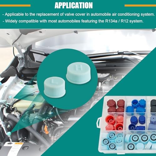 80PCS AC Caps for Cars, A/C High Low Side Valve Core Port Dust 80pcs AC ...