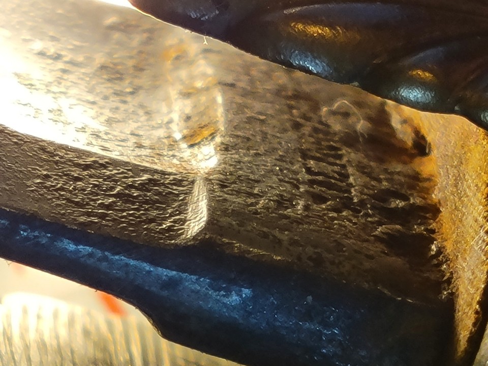 SCARCE! Bavarian/German Lions Head King Maximilian the 2nd Honor Guard ...