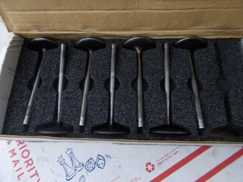 TITANIUM INTAKE VALVES | eBay