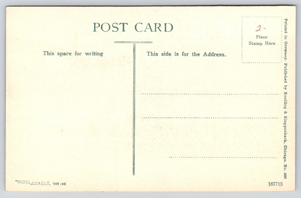 Chicago Illinois~Hamilton Park Wading Pool~c1910 Postcard | eBay