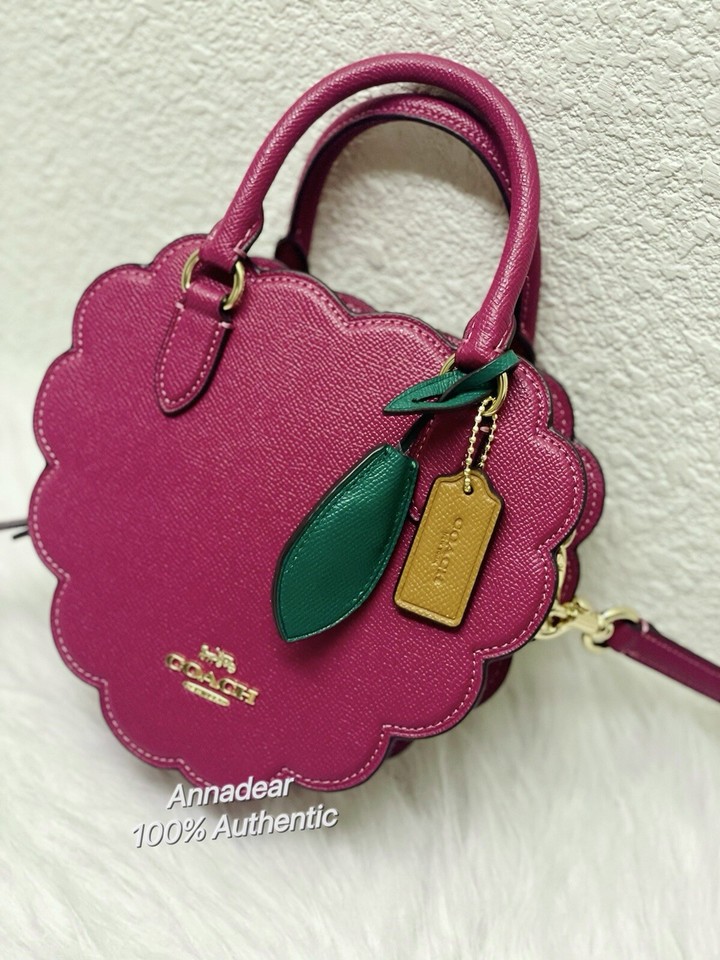 NWT COACH Crossgrain Leather Raspberry Shape Crossbody/Satchel Bag ...