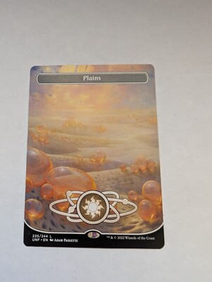 Plains (235) (Borderless) Unfinity Regular MTG NM | eBay