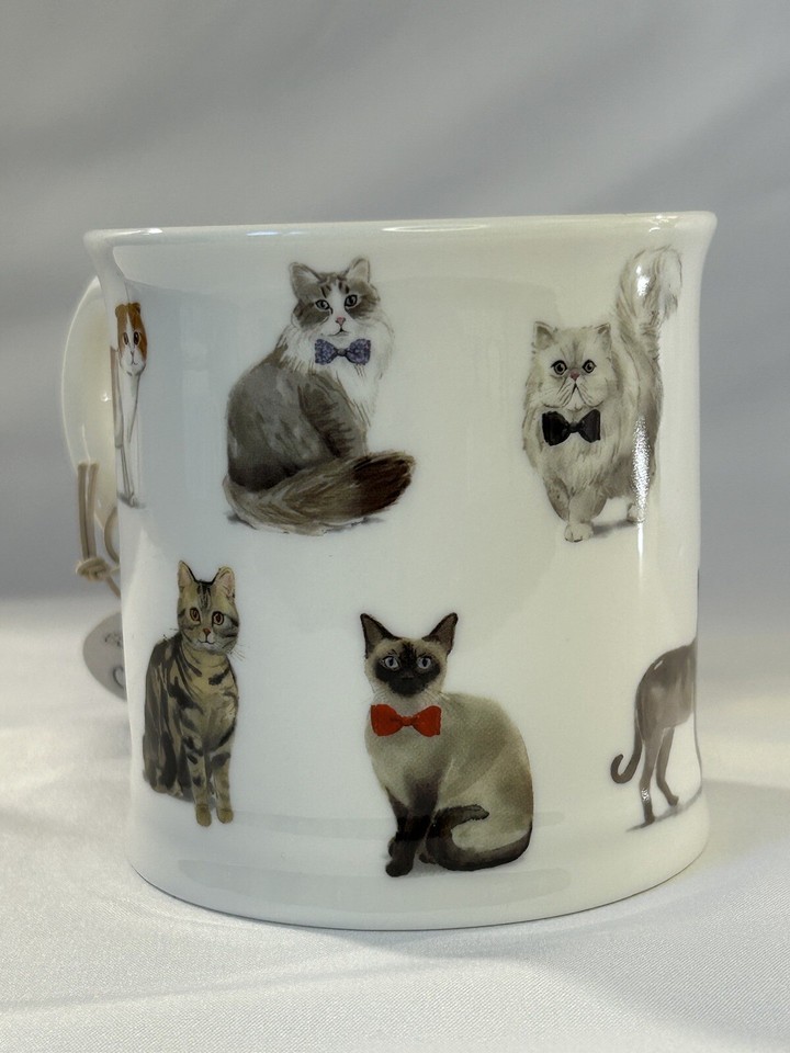 Curious Cats Fine China Mug ~ Brand New ~ Made in England | eBay