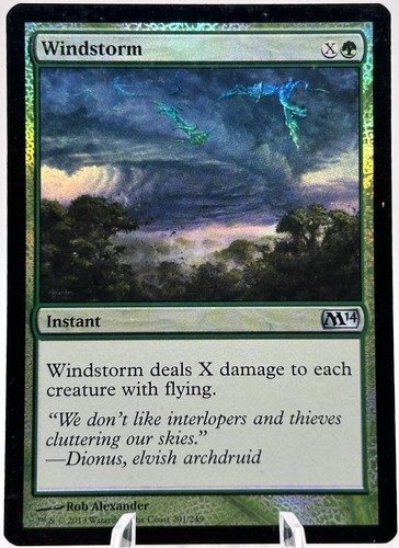Windstorm 201/249 Foil Core Set 2014 M14 MTG NM | eBay